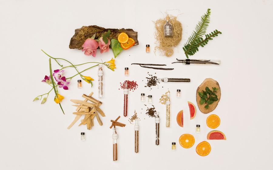 Guía del perfume - Bienestar Colsanitas