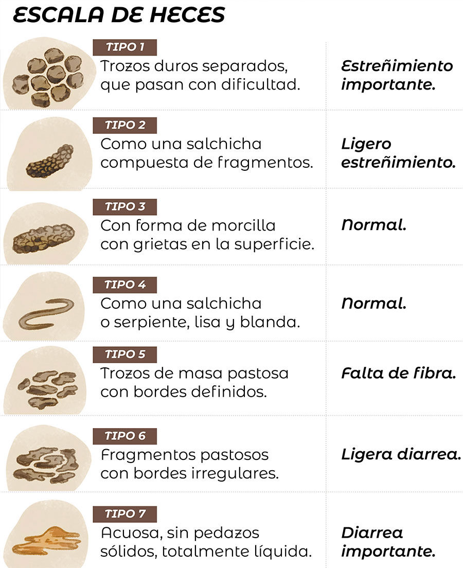 Cómo reconocer los cambios en el popó de su bebé - Bienestar Colsanitas